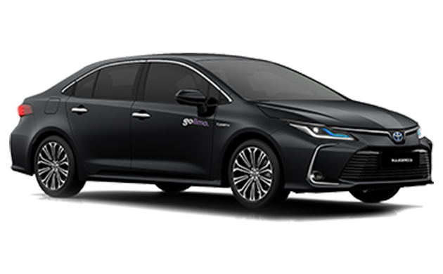 Book Your Limousine Service in Cairo | GoLimo Egypt